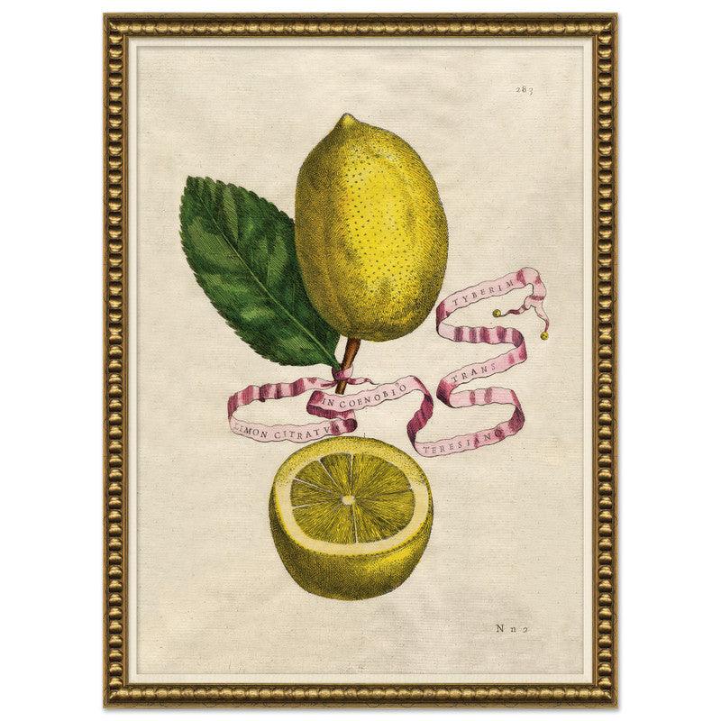 Lemons & Pink Ribbons 1 – Fairley Fancy